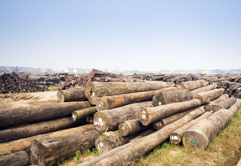 Logging truck logs at mill stock image. Image of trees - 32817811