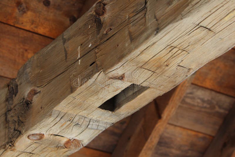 Large timber stock photo. Image of lodge, huge, wood - 51812694