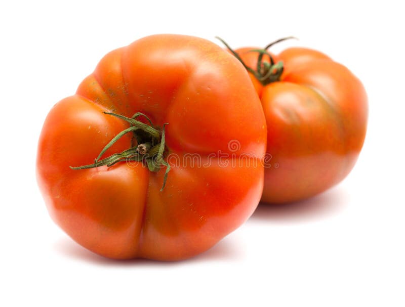 Large tomatoes stock image. Image of shiny, calorie, harvest - 48230545
