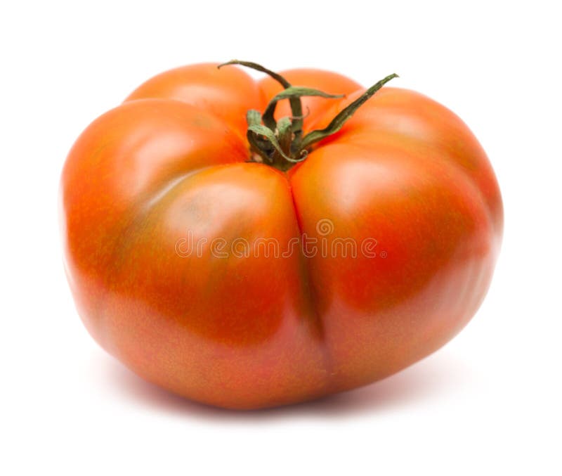 Large tomatoes stock image. Image of crop, produce, sweet - 48230417