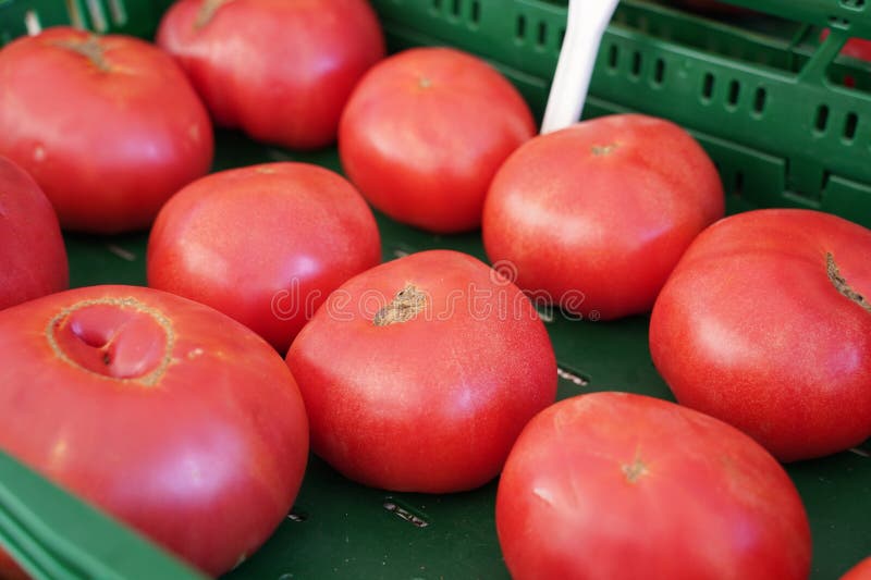 Large Tomatoes Lying in a Box at Market Stock Photo - Image of juicy ...