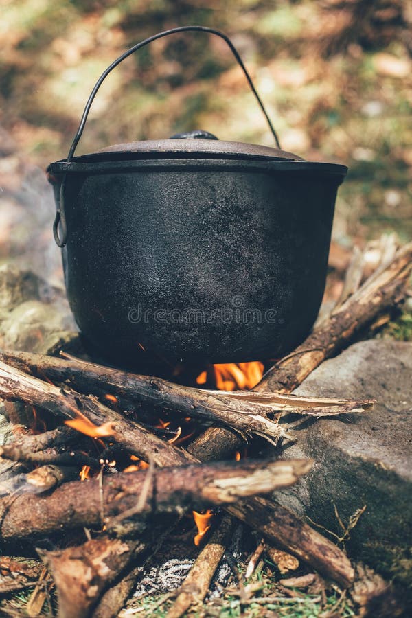 Large Tourist Pot on Burning Campfire in the Forest Stock Photo - Image ...