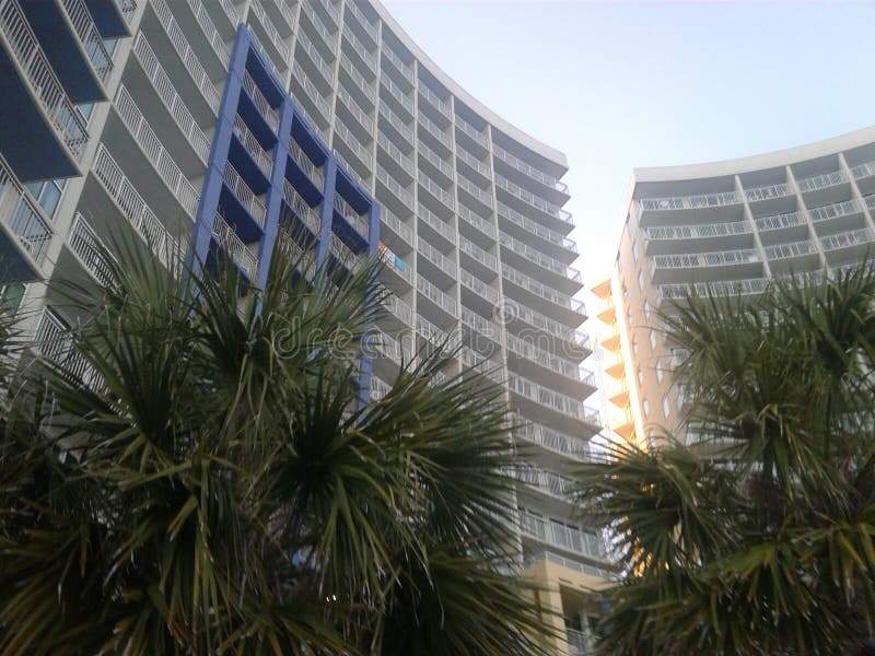 Large tower pawn trees stock photo. Image of christmas - 188589156