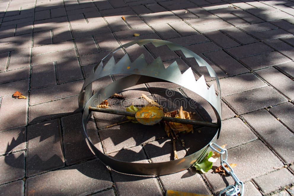 Large Traps. Concept of Man Trapping. Fall Stock Image - Image of ...