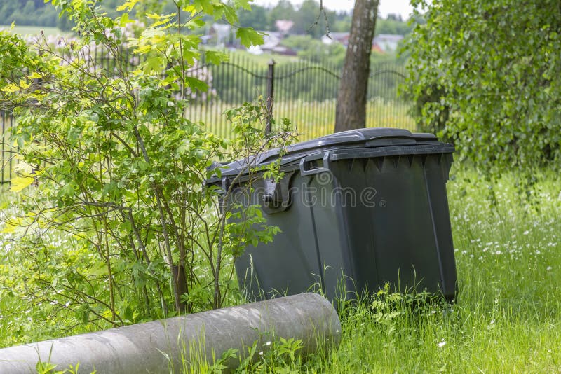 A Large Trash Container Stands among the Trees in the Forest Stock ...