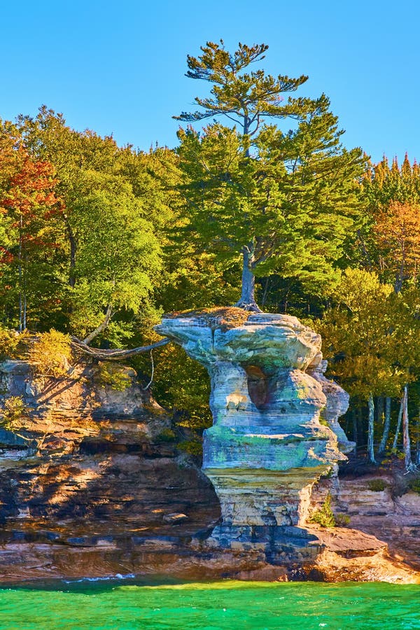Large Tree Atop Cliff Face of White Pictured Rocks and Sea Green Waters ...