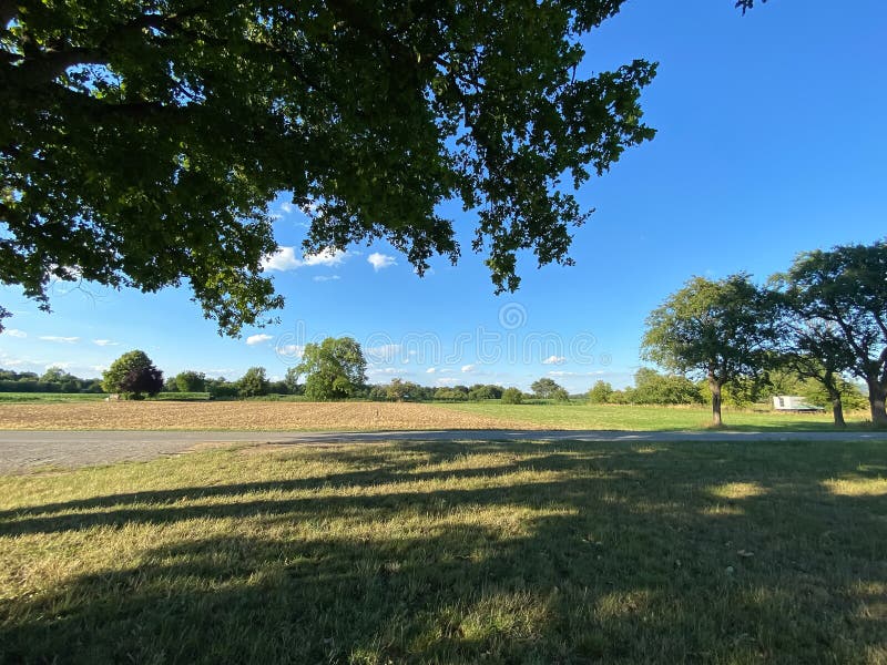 Large Tree Casts Shadow Ground Stock Photos - Free & Royalty-Free Stock ...