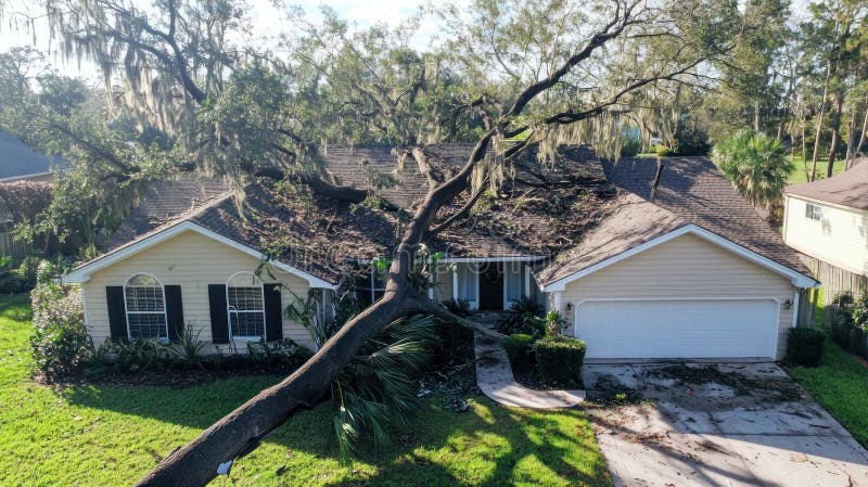 A Large Tree Fallen Onto the Roof of a House Stock Illustration ...