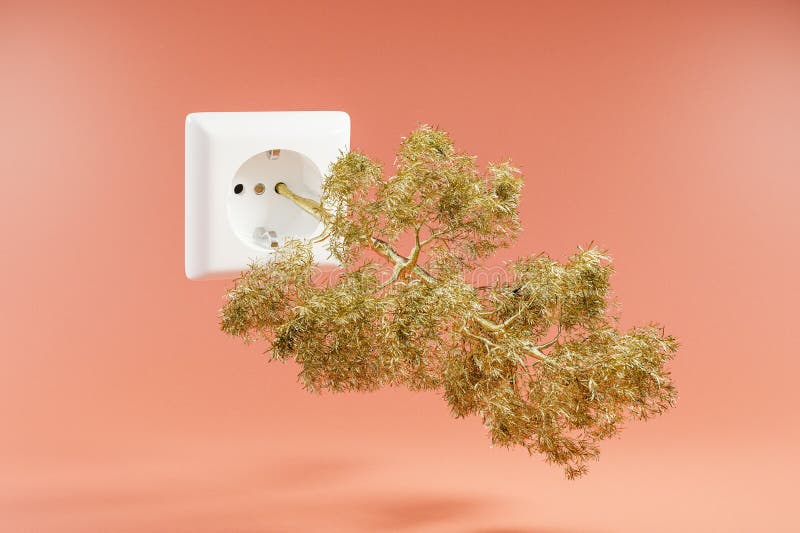 Large Tree Growing Out of Single White Power Socket Floating in the Air ...