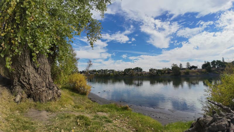 Large Tree on Levee with Time Lapse of Clouds Over River System Stock ...
