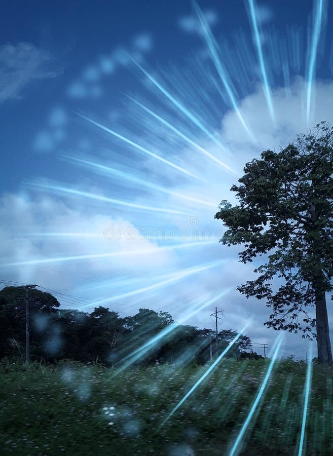 Equatorial garden stock image. Image of amazonas, large - 174493595