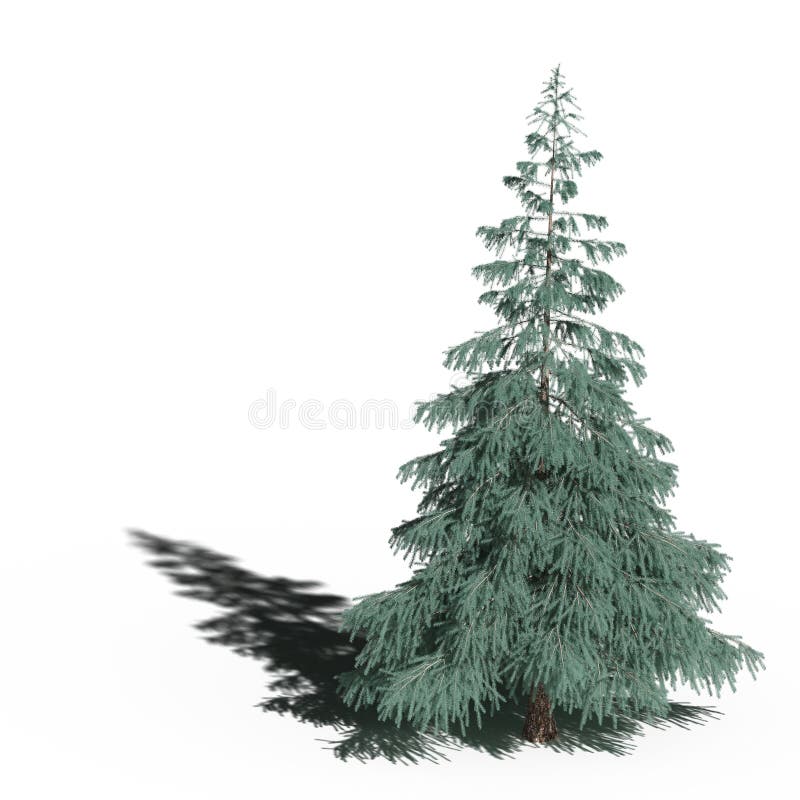 Large Tree with a Shadow Under it Stock Illustration - Illustration of ...