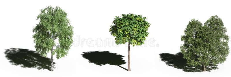 Large Tree with a Shadow Under it Stock Illustration - Illustration of ...