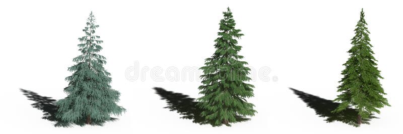 Large Tree with a Shadow Under it Stock Illustration - Illustration of ...