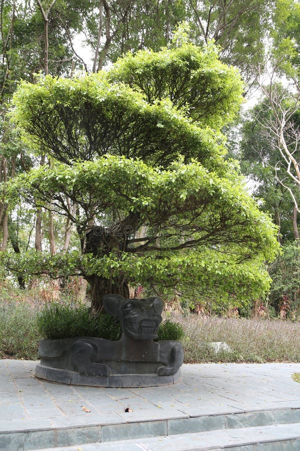 A Large Tree with a Statue of a Dragon on it Stock Image - Image of ...