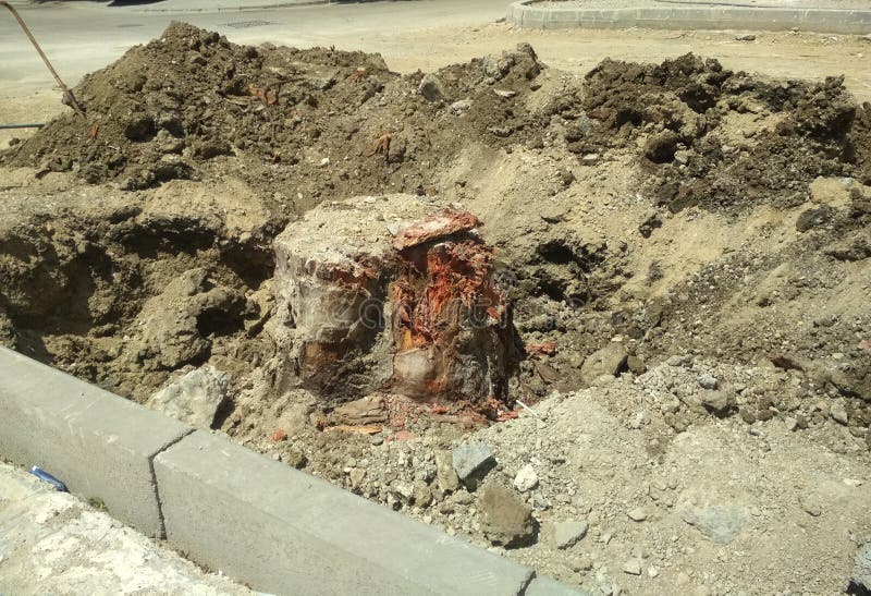 A Large Tree Stump with Earth Dug Up on the Sides Stock Image - Image ...