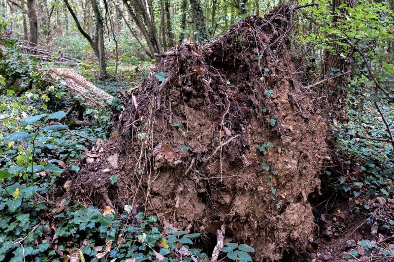 152 Log Out Symbol Stock Photos - Free & Royalty-Free Stock Photos from ...