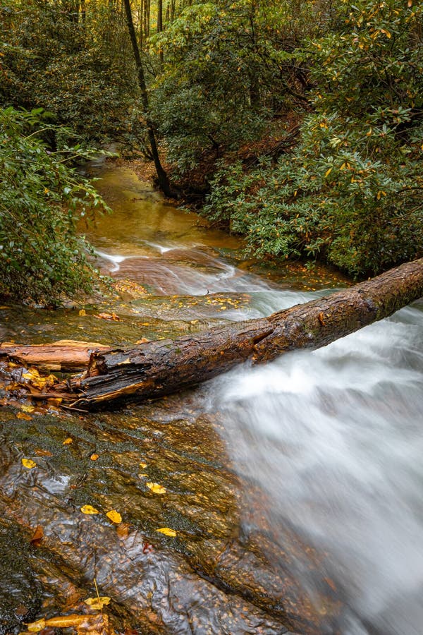 Large Tree Trunk Crosses the River of Camp Creek Falls in Pisgah Forest ...