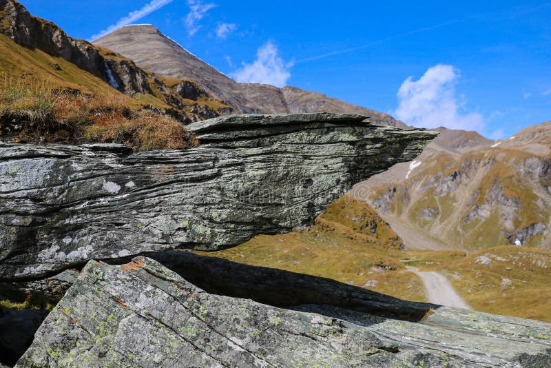 Large Tree Trunks Against the Backdrop of Mountains Stock Photo - Image ...