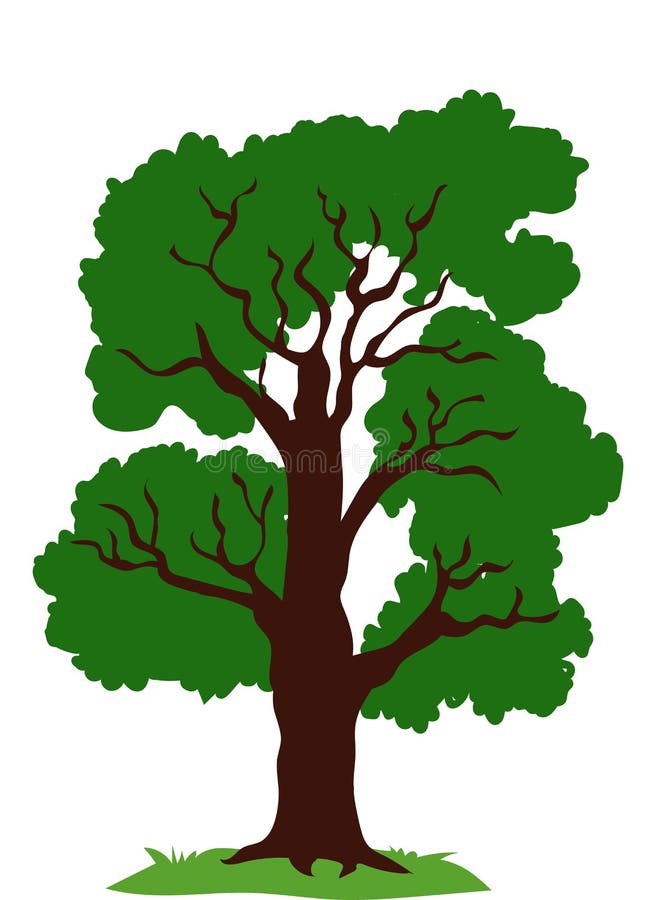 Large Tree Vector Illustration Stock Illustration - Illustration of ...