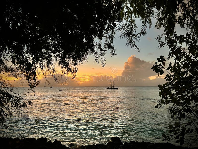 Large Tropical Sunset stock image. Image of large, horizon - 265286683