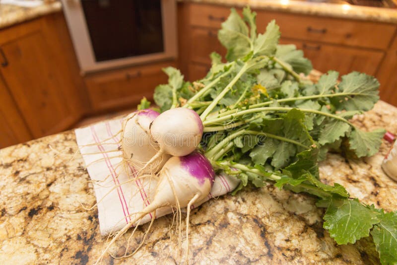 Large Turnips Grown at Home, Homegrown Turnips Stock Image - Image of ...