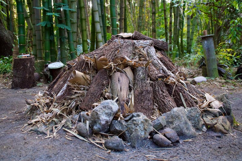 Large unlit camp fire stock image. Image of fire, tropical - 36051787