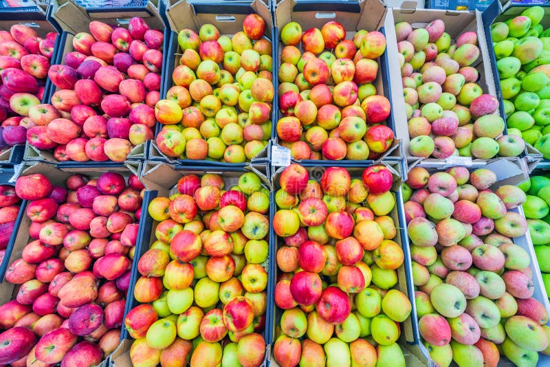 Varied Selection of Fruits and Vegetables in Garden Beds Stock ...