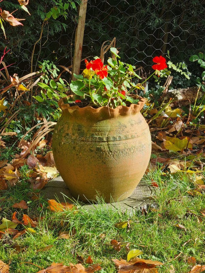 Large vase of flowers stock image. Image of branch, flowere - 264705011