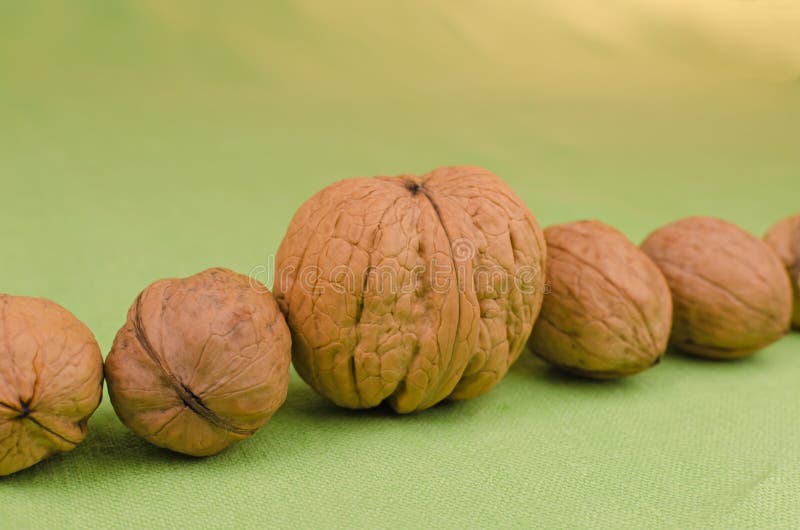 Two Large Walnut Trees with Partially Fallen Leaves Surrounded with ...