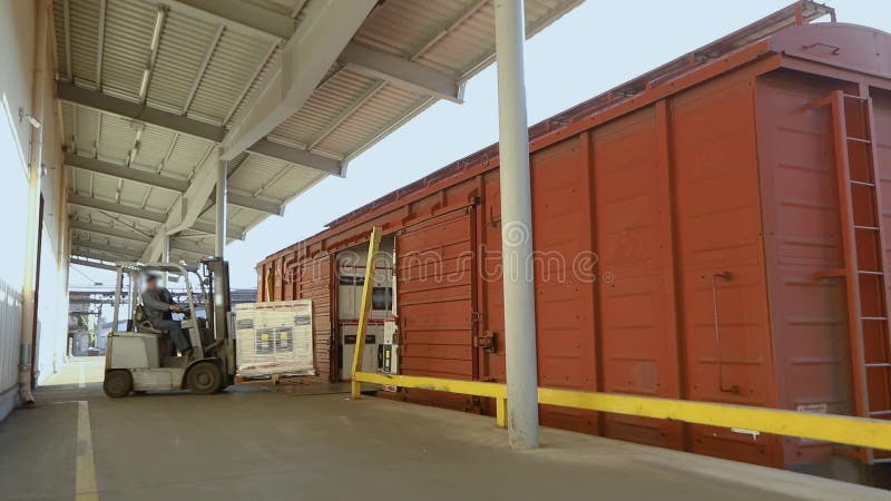 Forklift with Boxes Moves through Warehouse of Cardboard Plant Stock ...