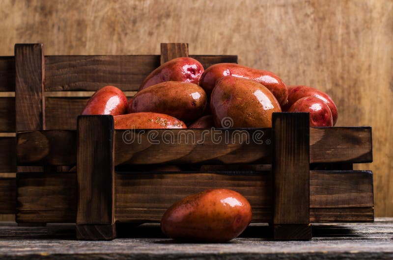 Large washed potatoes stock image. Image of tuber, healthy - 102406405