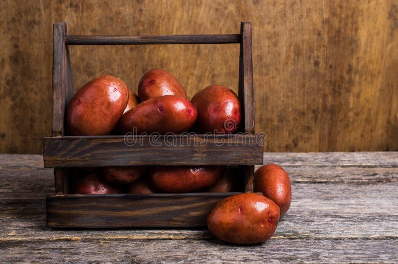 Large washed potatoes stock photo. Image of healthy - 102406538