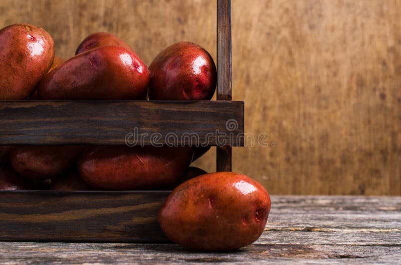 Large washed potatoes stock image. Image of natural - 102410191