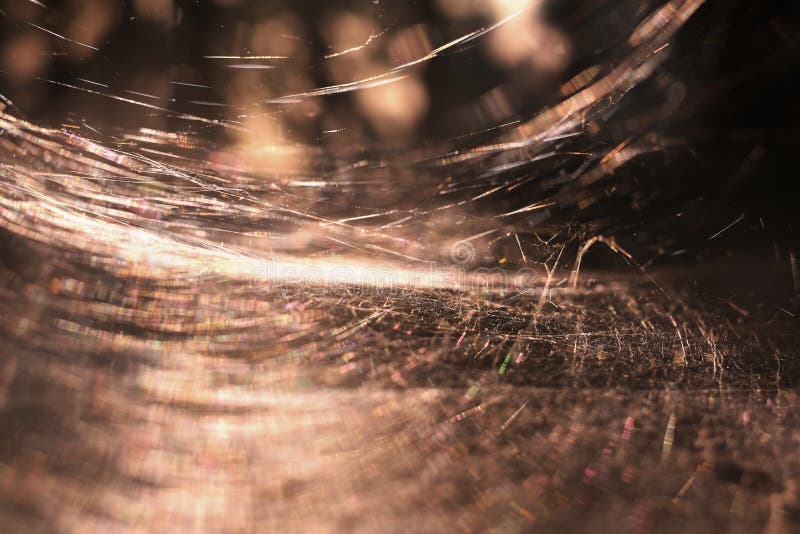 Large Web Illuminated Setting Sun Close Up Stock Photos - Free ...