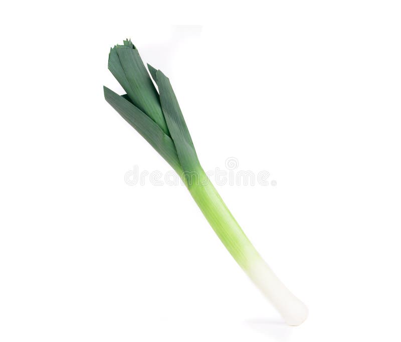 Large Welsh leek. stock image. Image of healthy, vegetable - 5075019
