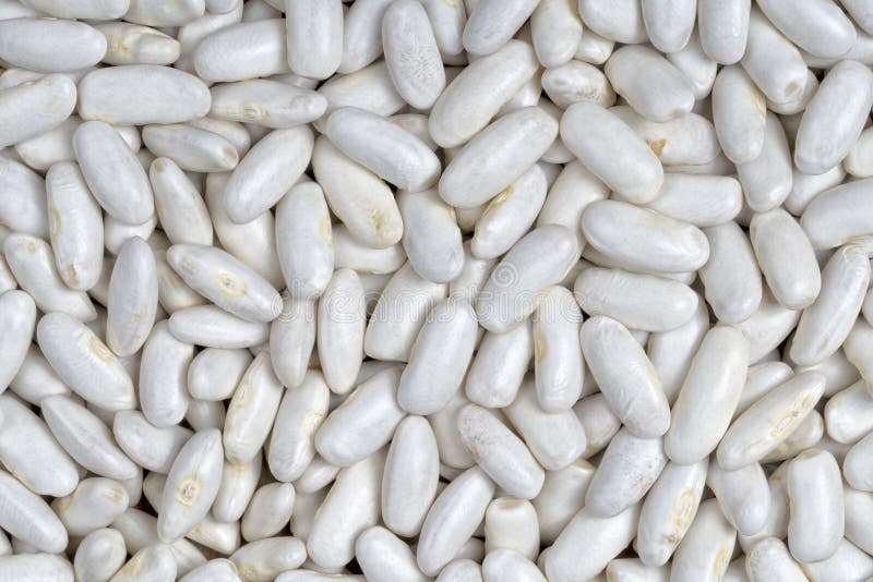 Large White Beans To Asturian Fabada Stock Photo - Image of kidney ...
