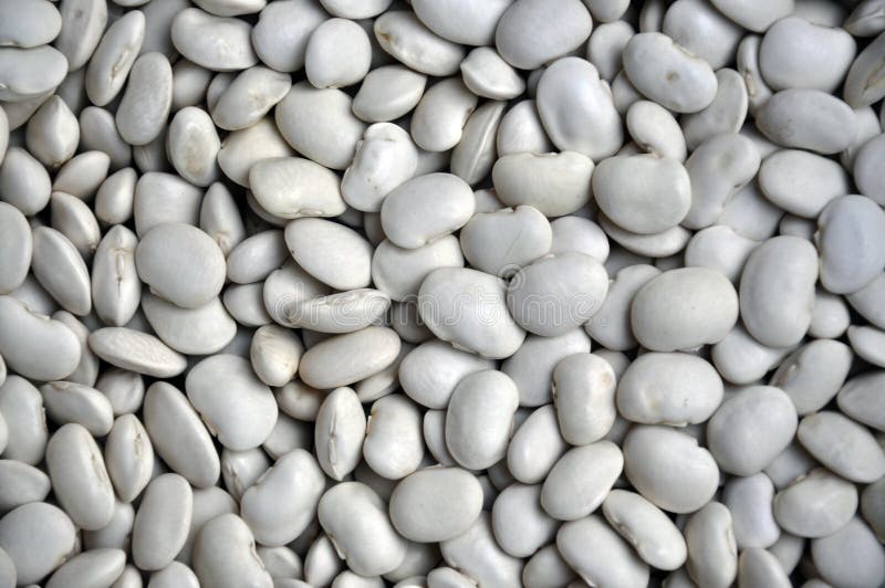 A large white beans_4 stock photo. Image of vitamins - 76674052
