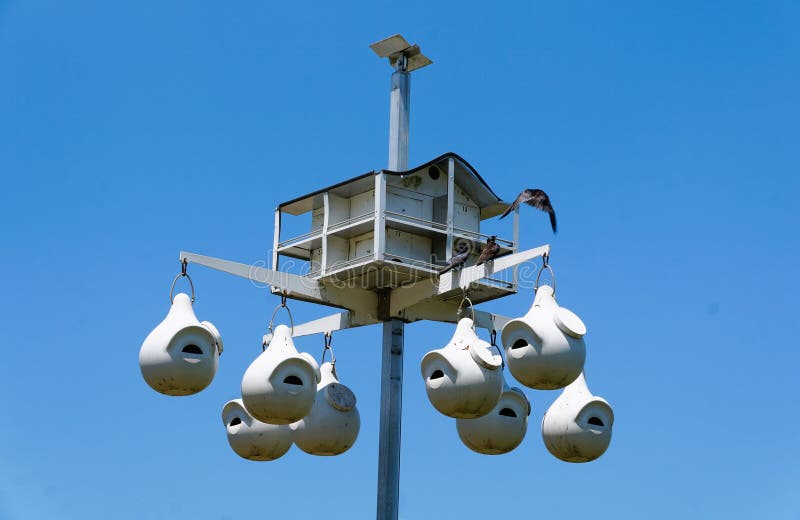 Large White Birdhouse with Hanging Pods Built for Sparrows Stock Image ...