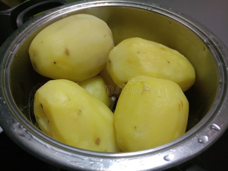Large White Cooked Potato in a Silver Pot Stock Photo - Image of white ...