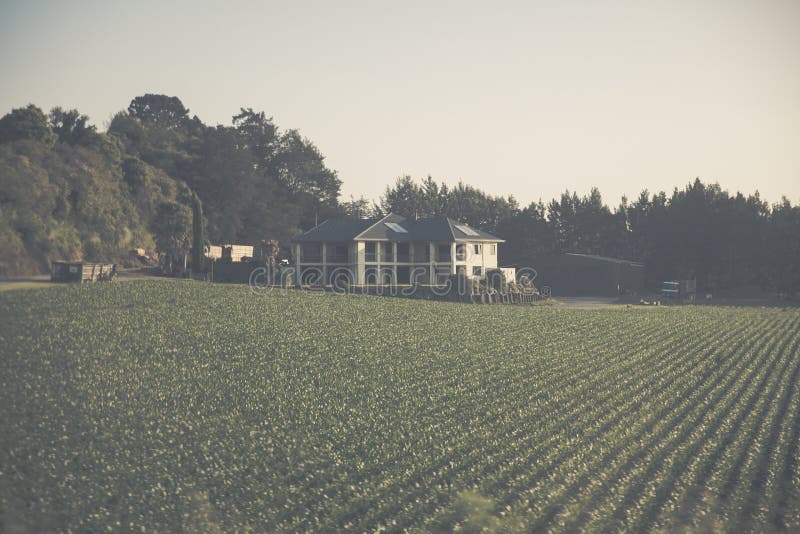 Large White Farm Mansion on a Rural Farmland Stock Image - Image of ...