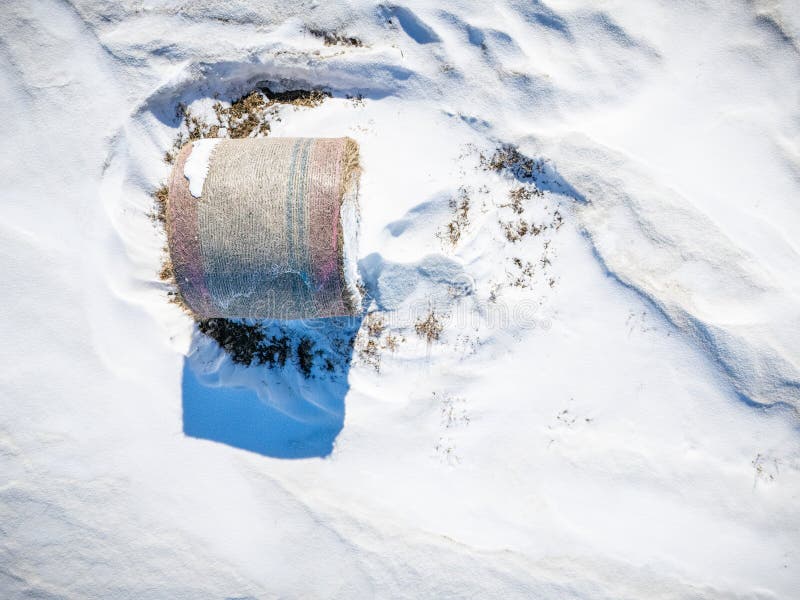 Large, White Object is Sitting in the Snow Stock Photo - Image of ...