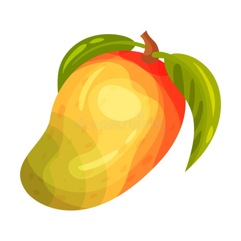 Large Mango with Two Leaves. Vector Illustration on White Background ...