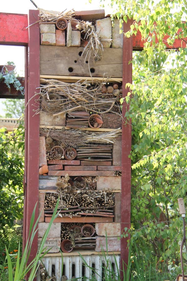 Large Wildlife Bug House. stock photo. Image of shrub - 333205504