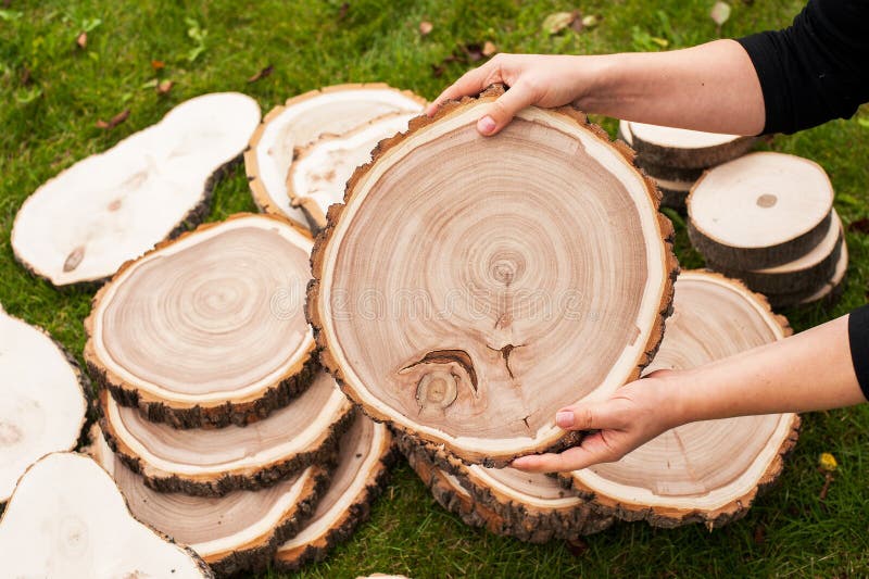 Large wood cuts stock photo. Image of outdoors, rural - 92657240