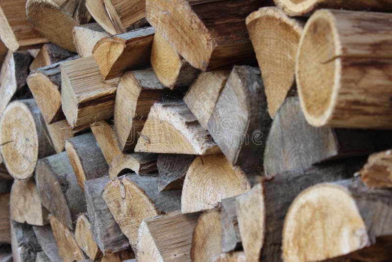 Large wood store stock image. Image of store, backgrounds - 53917059