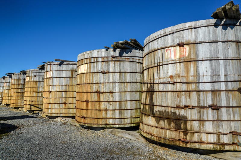 Large Wooden Barrels for Pickling Brine Stock Photo - Image of beverage ...