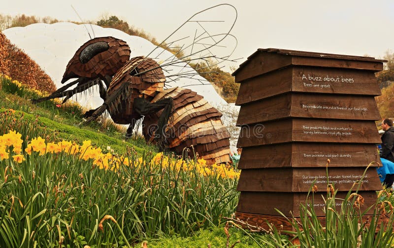 Bee Sculpture at the Eden Project, Cornwall Stock Photo - Image of ...