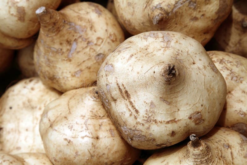 Large Yam stock image. Image of thailand, sold, fruit - 60394585