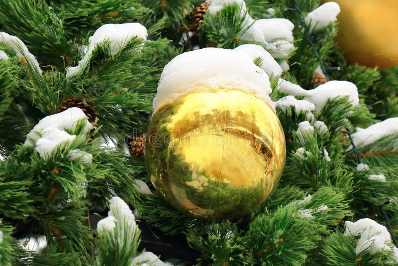 Large Yellow Ball with Snow on Christmas Tree Stock Photo - Image of ...